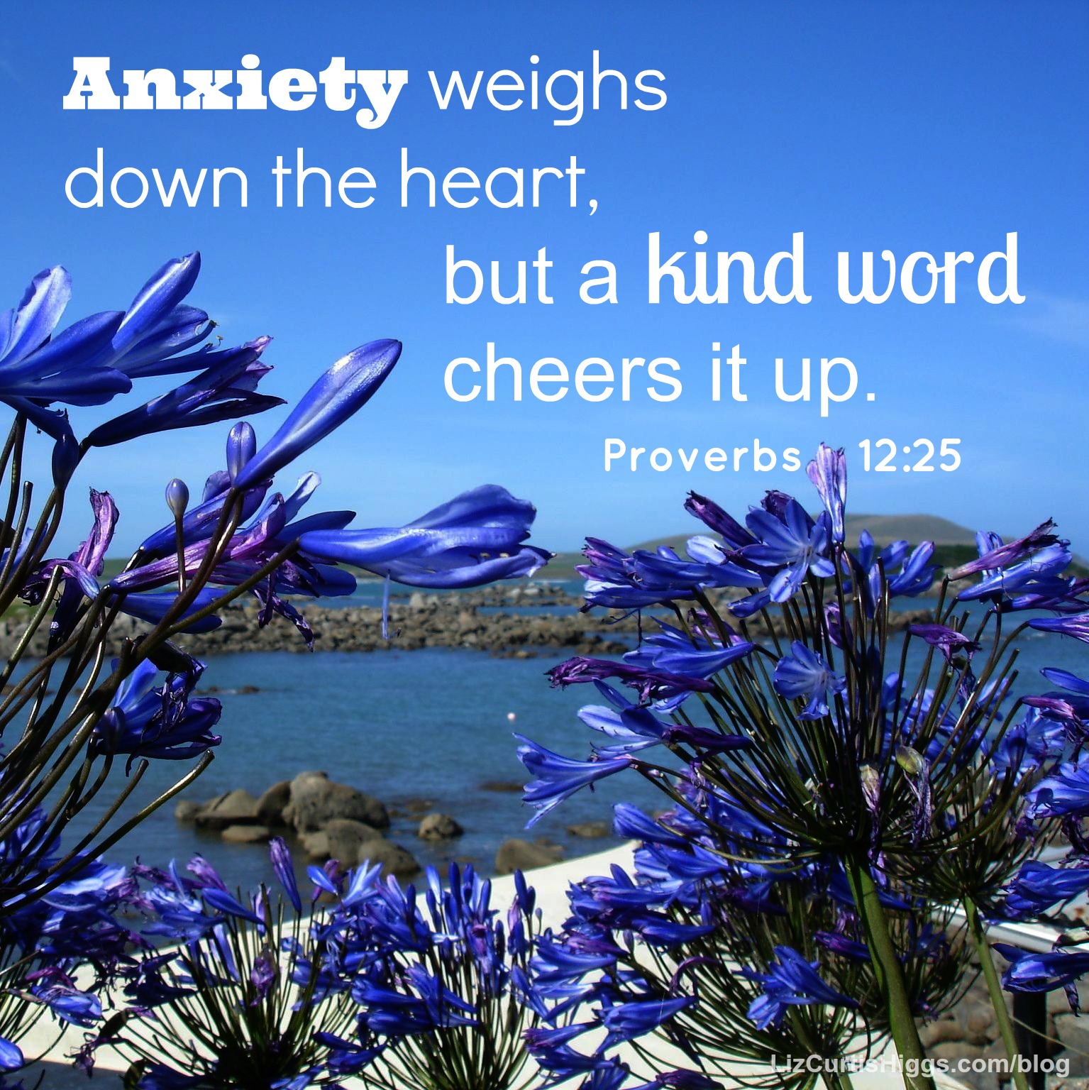 Your 50 Favorite Proverbs: #31 Heavy Lifting - Liz Curtis Higgs