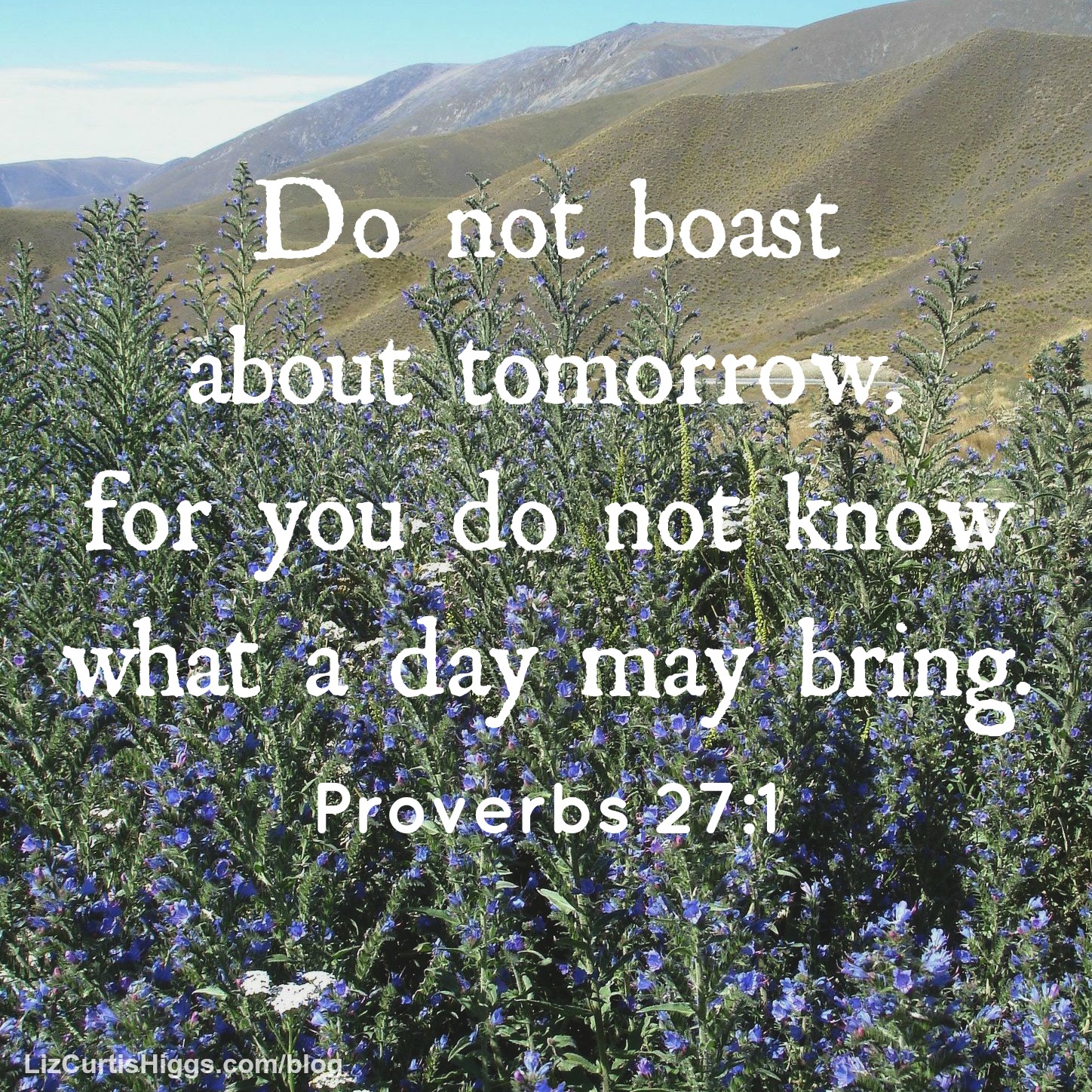 Your 50 Favorite Proverbs: #23 Tomorrow, Tomorrow - Liz Curtis Higgs