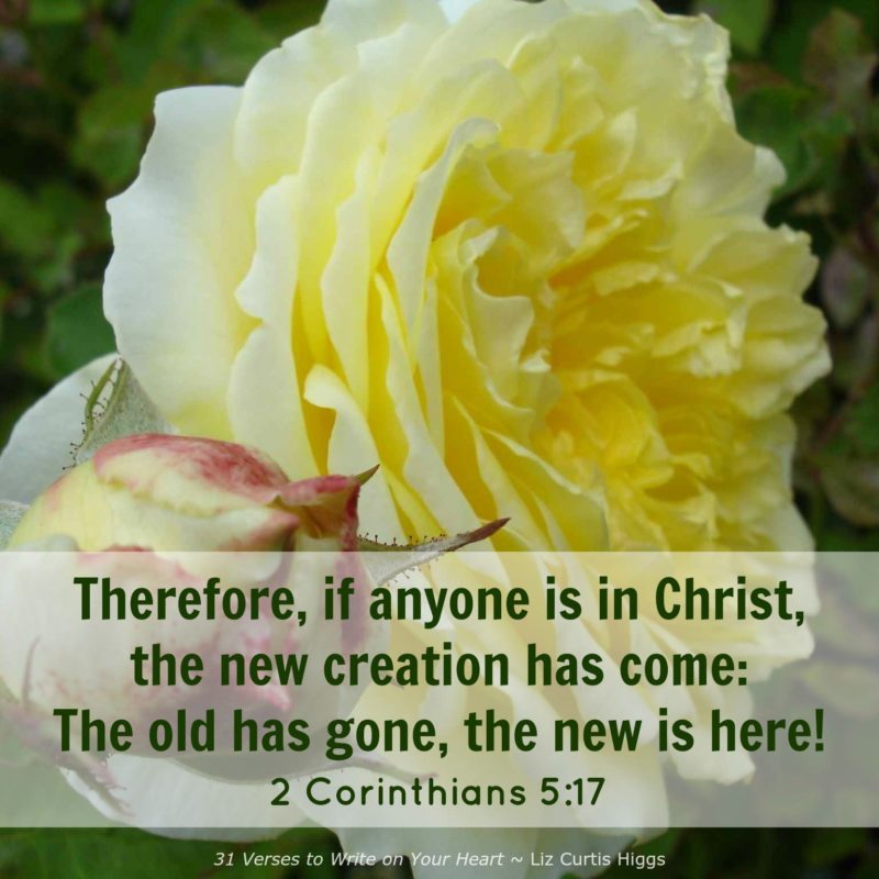 31 Verses to Write on Your Heart - Liz Curtis Higgs